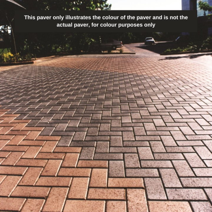 Paver Masonique Charcoal Per Square 40 pavers per sq/m - Noag's Market