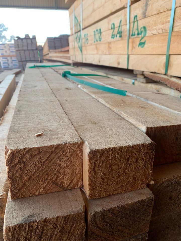 Timber Sap Untreated Wet off Saw 76mm X 102mm Per Meter - Noag's Market